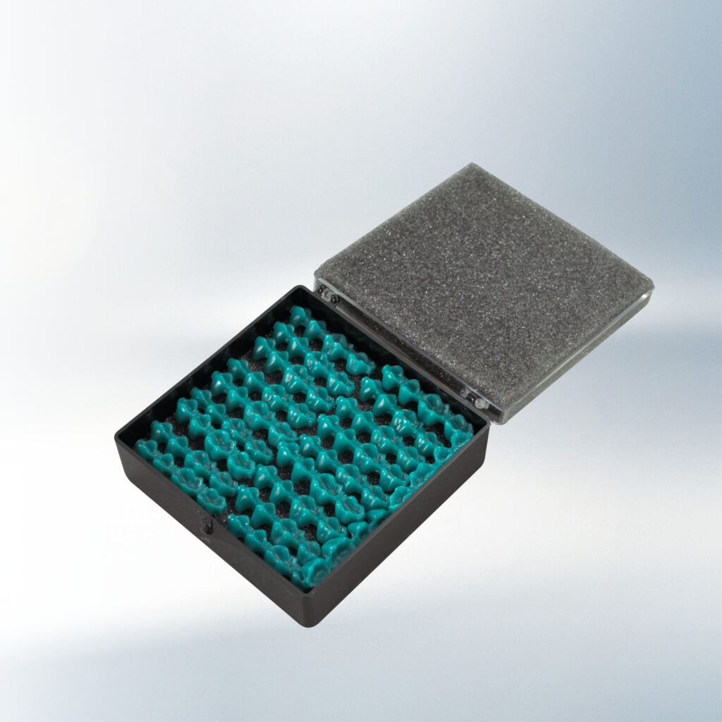 [RENFERT] GEO Pontics Pre-fabricated wax parts - APEX ON TECH